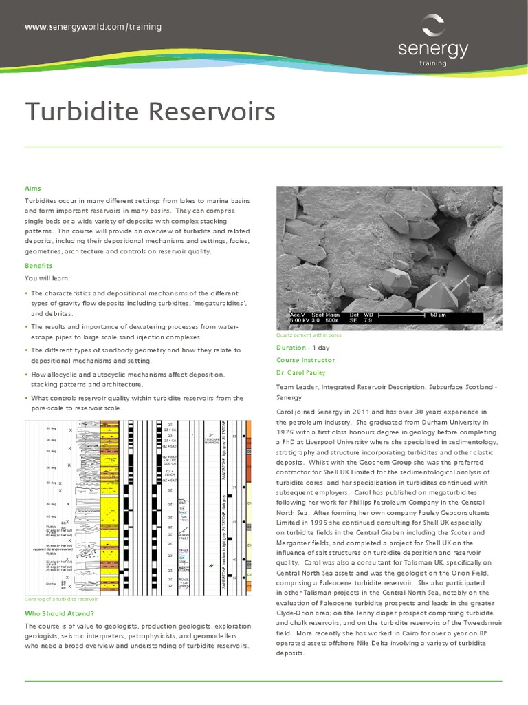 Overview of Turbidite Reservoirs | PDF | Petroleum Reservoir | Geology