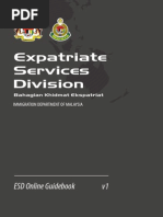 New Process Flow of Expat Application | PDF | Employment | Economies