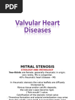 IPPA Nursing Process | PDF | Physical Examination | Heart