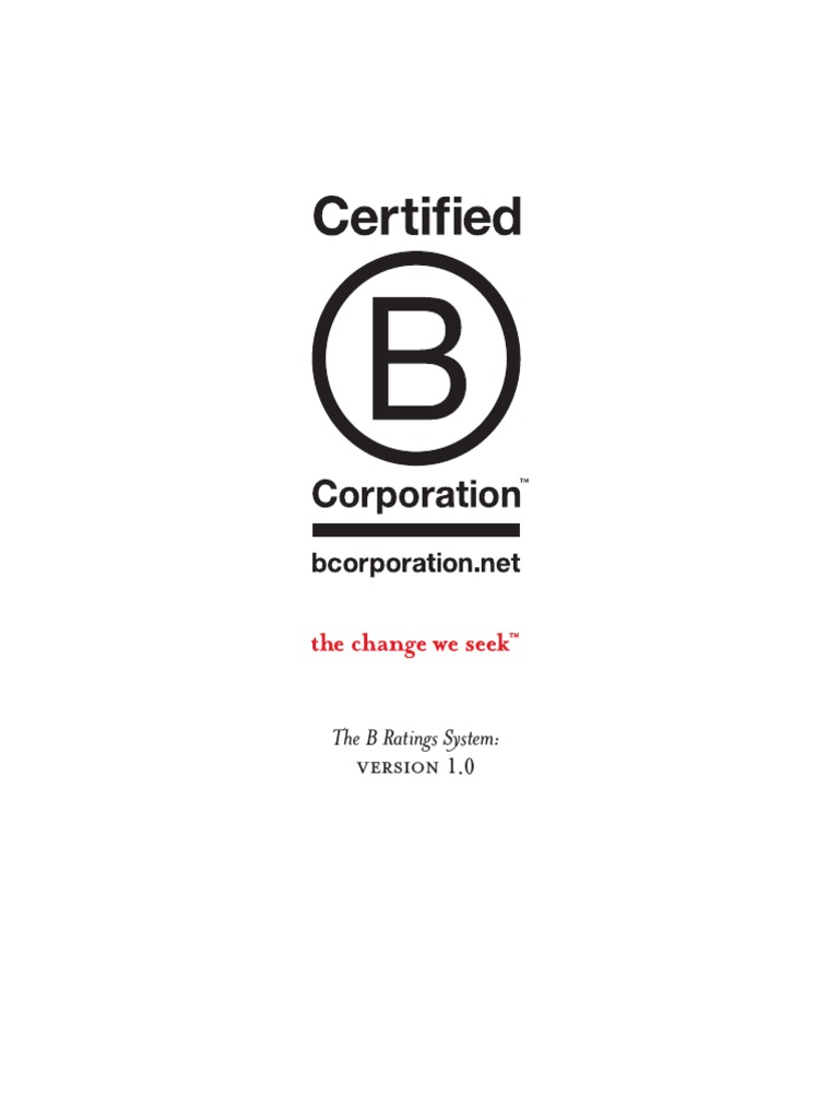 B Ratings System | PDF | Governance | Board Of Directors