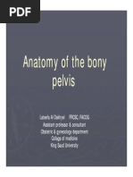 Invertogram 180604185707 | PDF | Pelvis | Anatomy