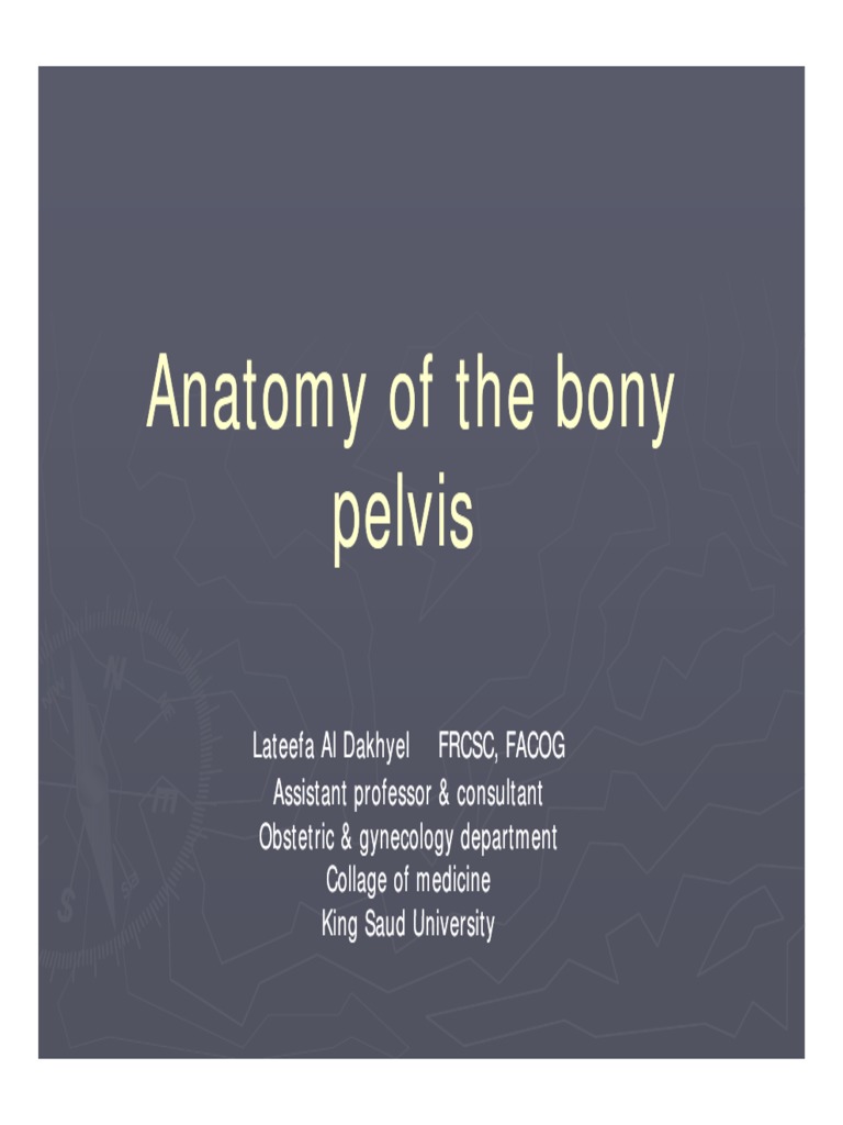 Anatomy of The Bony Pelvis | PDF | Pelvis | Human Anatomy