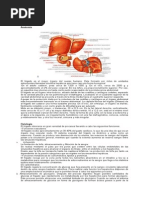 Didyouknow1 NIF Ventilation Es Es | PDF | Medicina CLINICA ...
