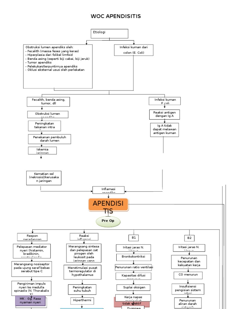 Woc Apendisitis | PDF