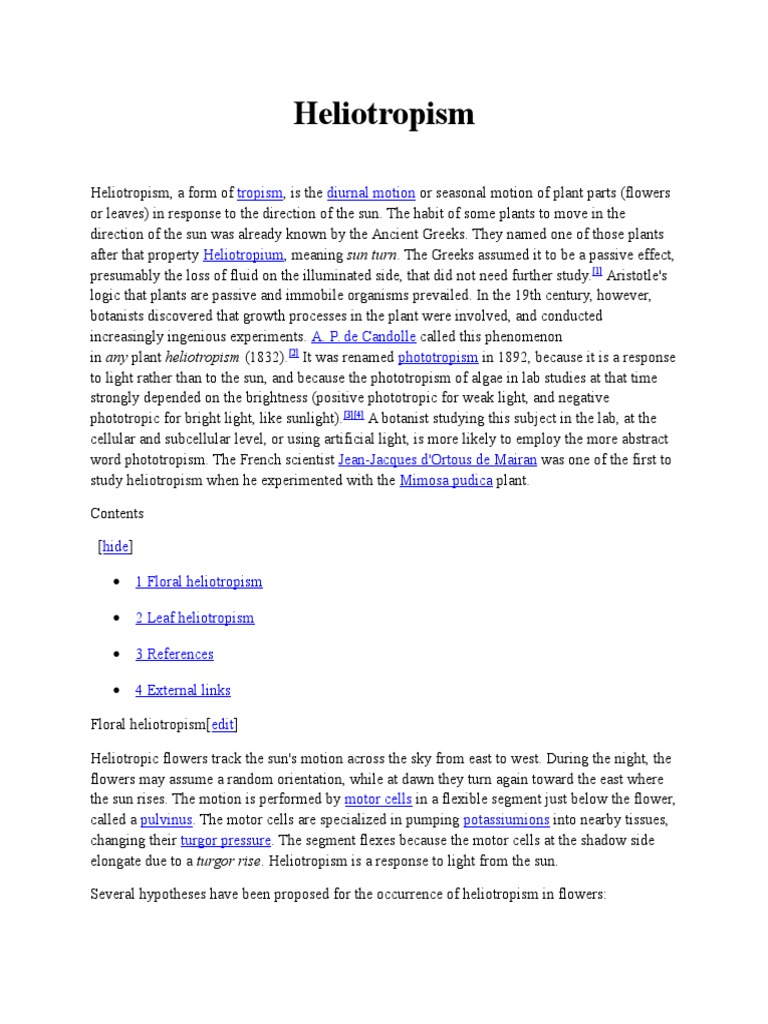 Heliotropism | PDF | Branches Of Botany | Horticulture And Gardening