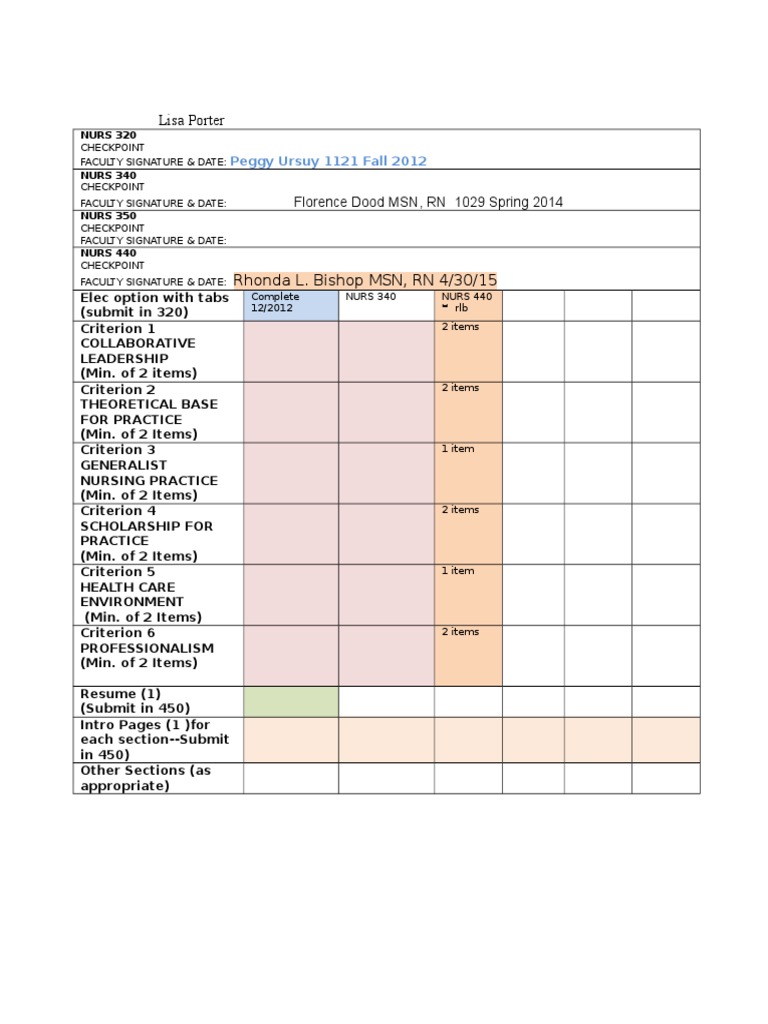Nursing Program Checkpoint Overview | PDF