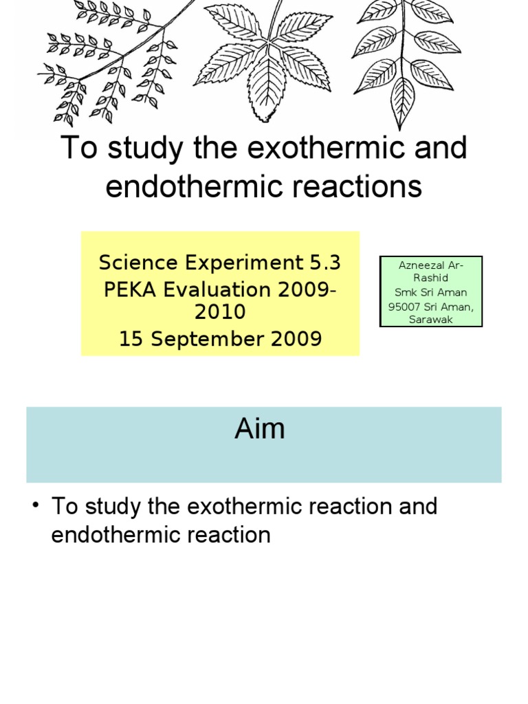 Experiment To Study The Exothermic and Endothermic Reactions | PDF ...