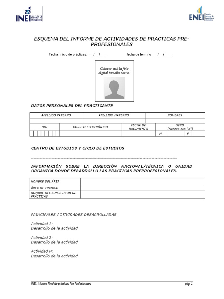 Formato Esquema Informedf Completo-2015 | PDF
