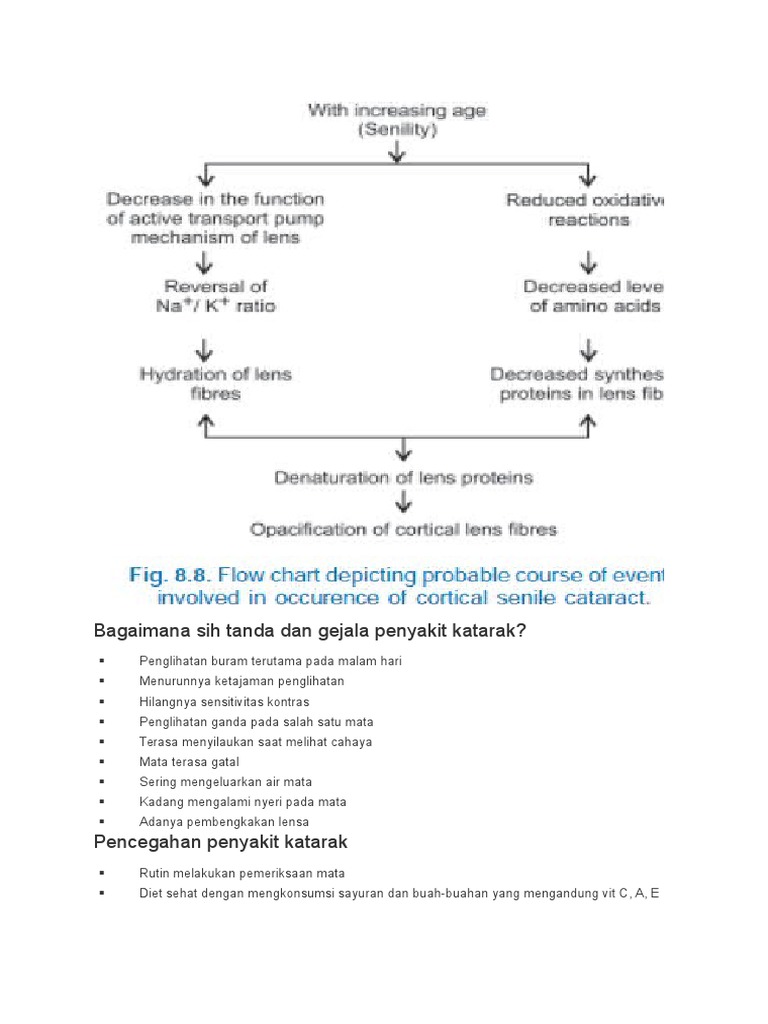 Katarak Senil Pathway | PDF