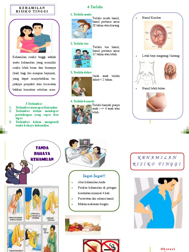 Leaflet Kehamilan Risiko Tinggi | PDF