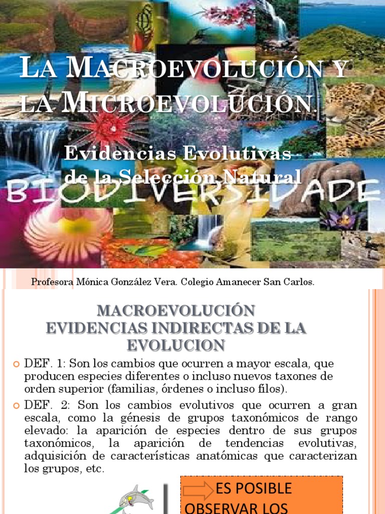 La Macroevolucion y La Microevolucion | PDF | Evolución | Biología ...