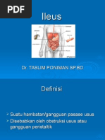Meteorismus 1 | PDF | Kesehatan Holistik