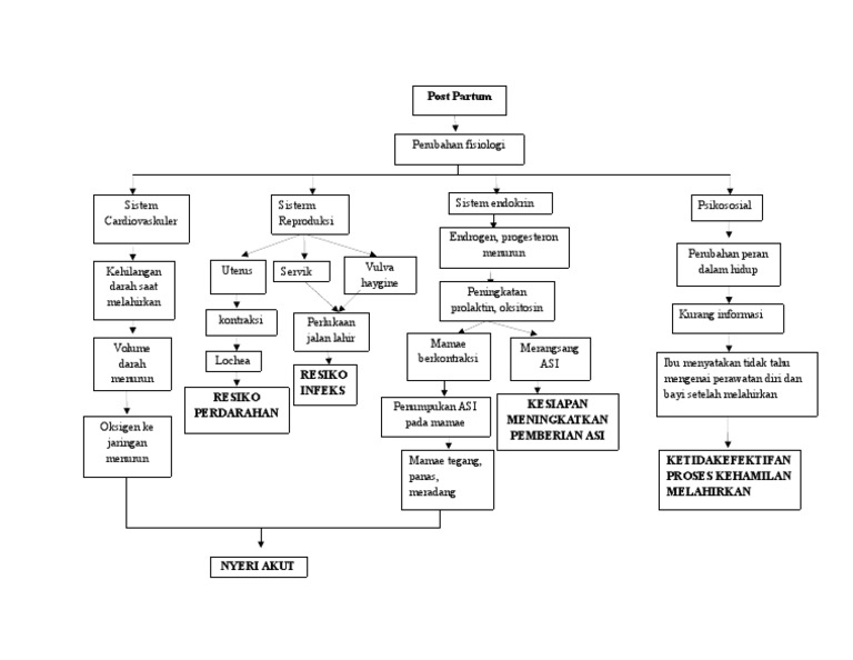 WOC Postpartum | PDF