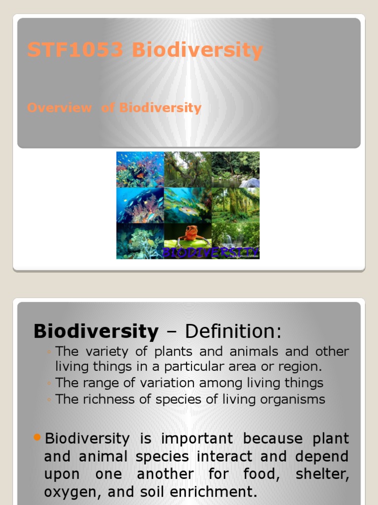 Lu1 Stf1053 Biodiversity - Introduction | Biodiversity | Plants