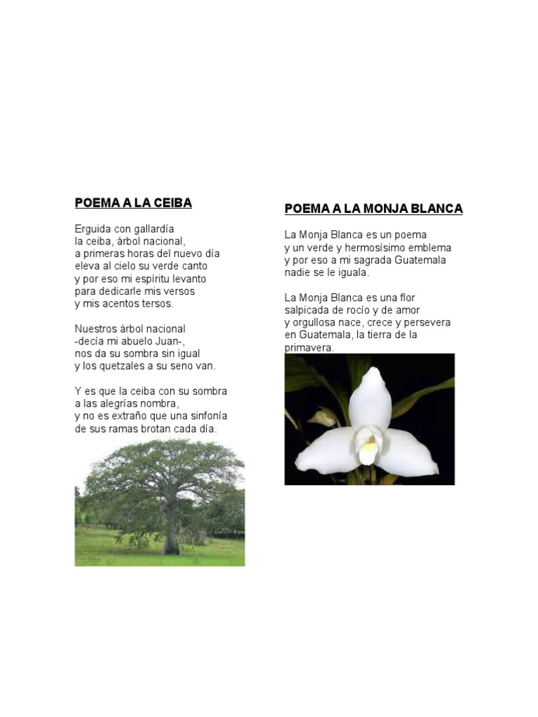 10 Poemas de Guatemala, Ilustrados | PDF | Naturaleza