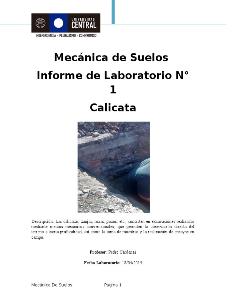 Informe de Calicata 2 | PDF | Ciencias de la Tierra | Naturaleza