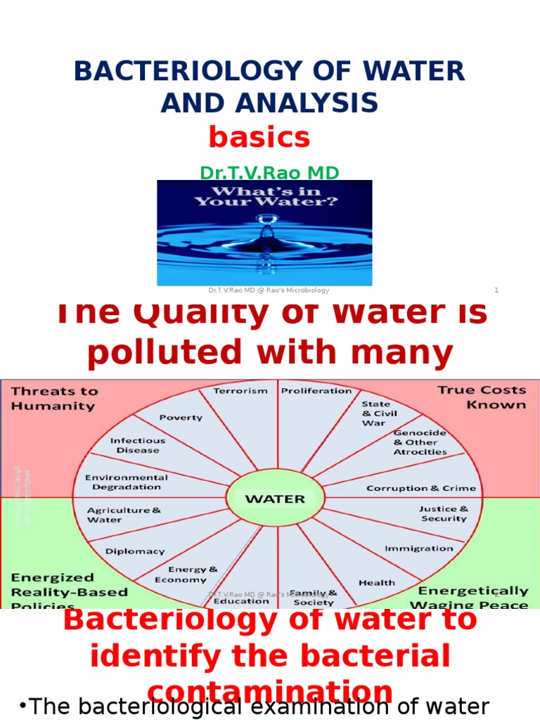 Bacteriology of Water | PDF | Microbiology | Biology
