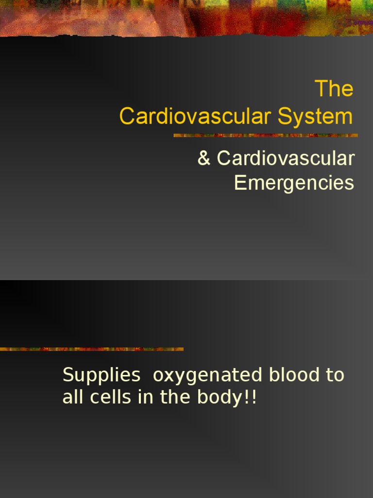 The Cardiovascular System | PDF | Circulatory System | Atrium (Heart)
