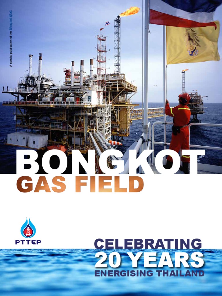 Bongkot Field 20 Year Anniversary | PDF | Natural Gas | Hydrocarbon ...
