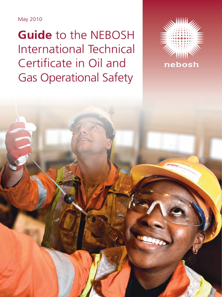 Iog Guide v5 | PDF | Test (Assessment) | Occupational Safety And Health