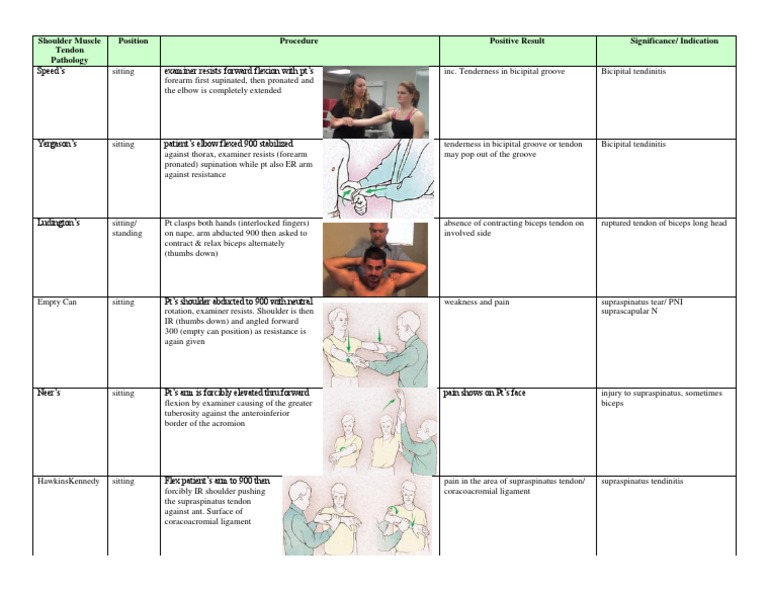 Shoulder Tendon Pathology Tests Guide | PDF | Self-Improvement | Wellness
