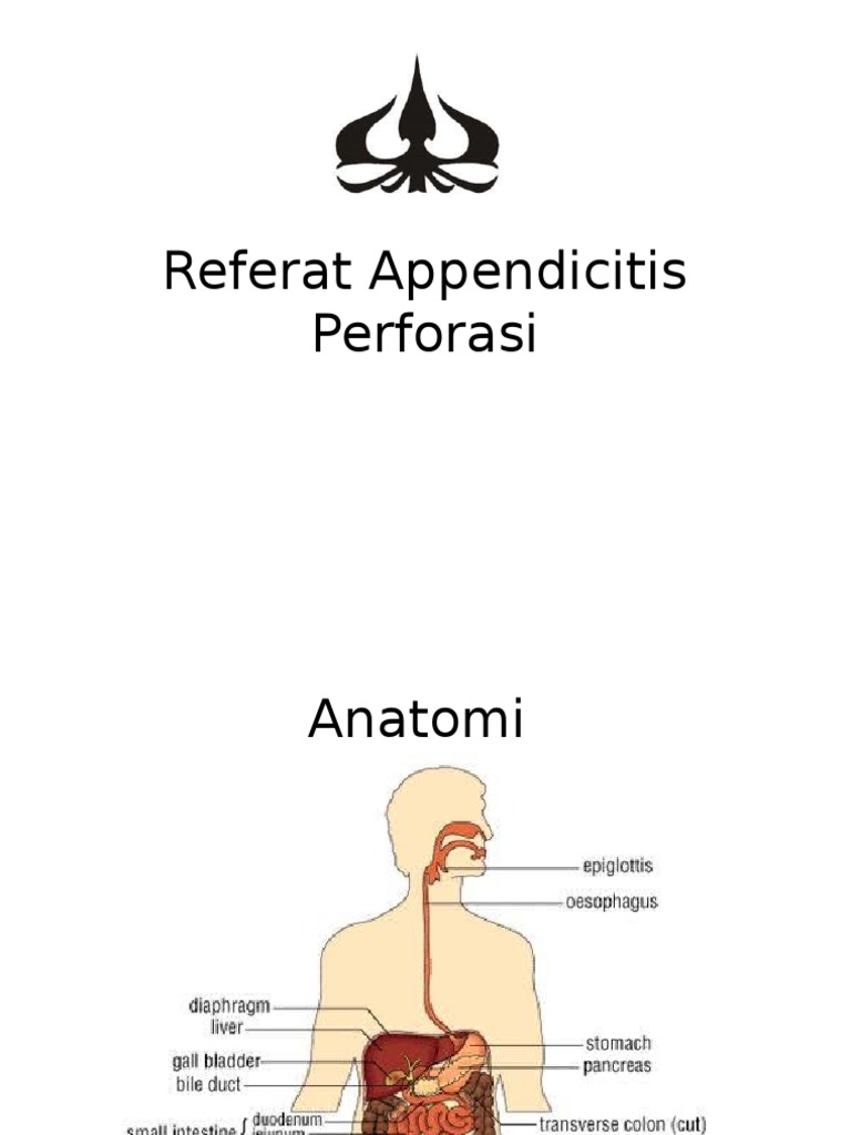 Referat Appendicitis Perforasi | PDF
