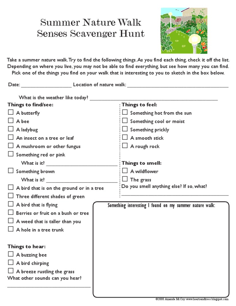 Summer Nature Walk Worksheet | PDF | Self-Improvement | Science ...