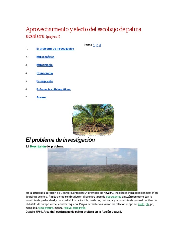 Aprovechamiento y Efecto Del Escobajo de Palma Aceitera | PDF | Riego ...