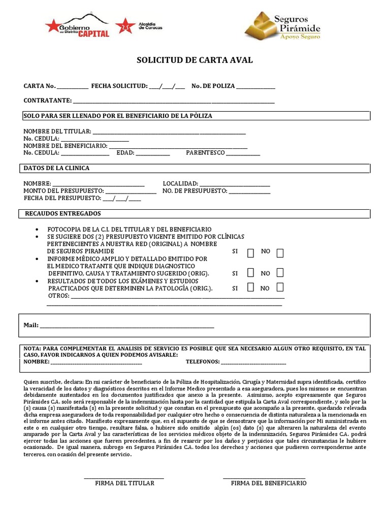 Formato Sol Carta Aval | PDF