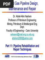 Petrosleeve Presentation | PDF | Pipe (Fluid Conveyance) | Construction