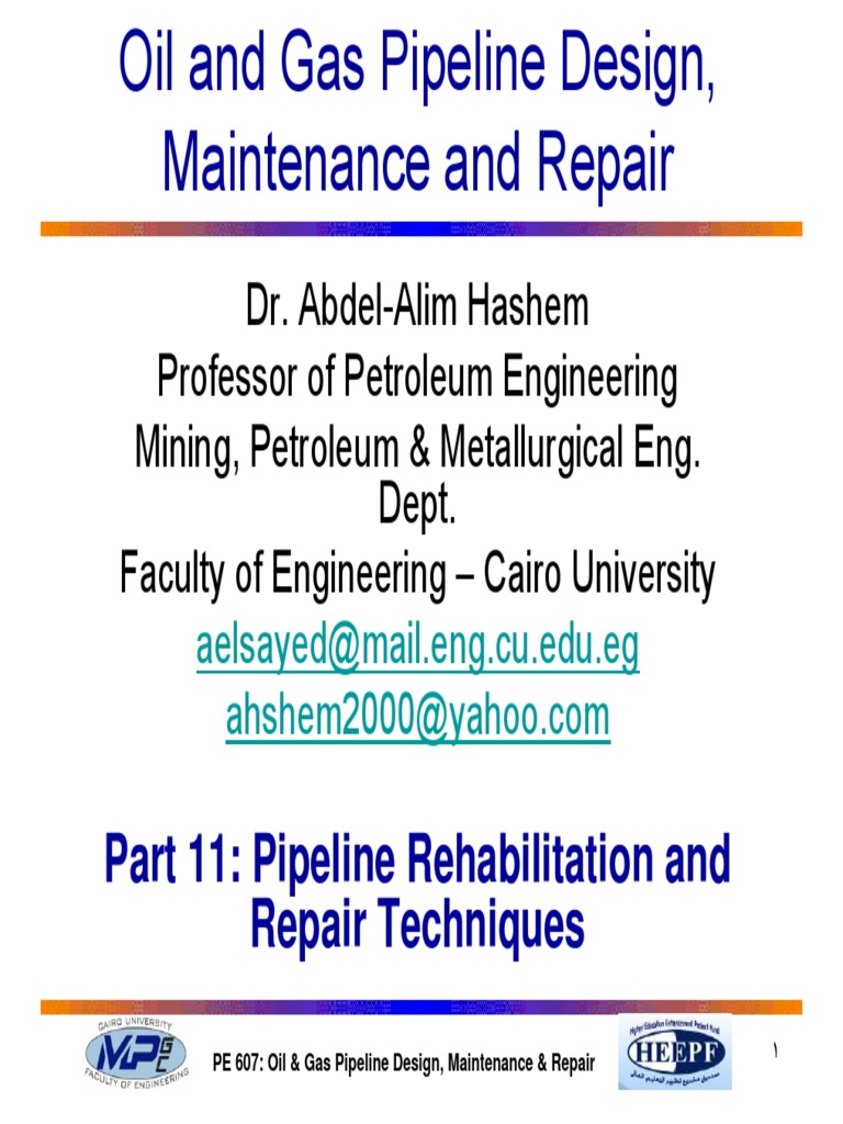 Pipeline Rehabilitation Techniques | PDF