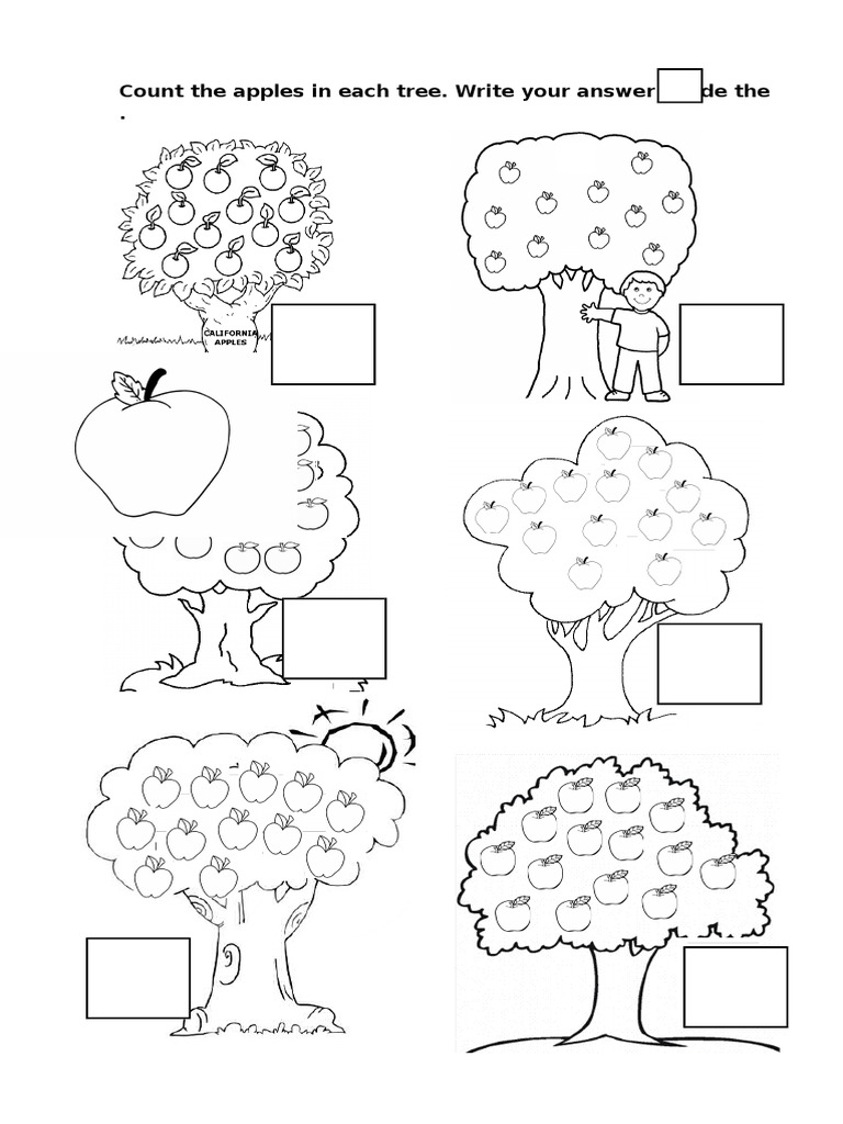 Count The Apples in Each Tree. Write Your Answer Inside The | PDF