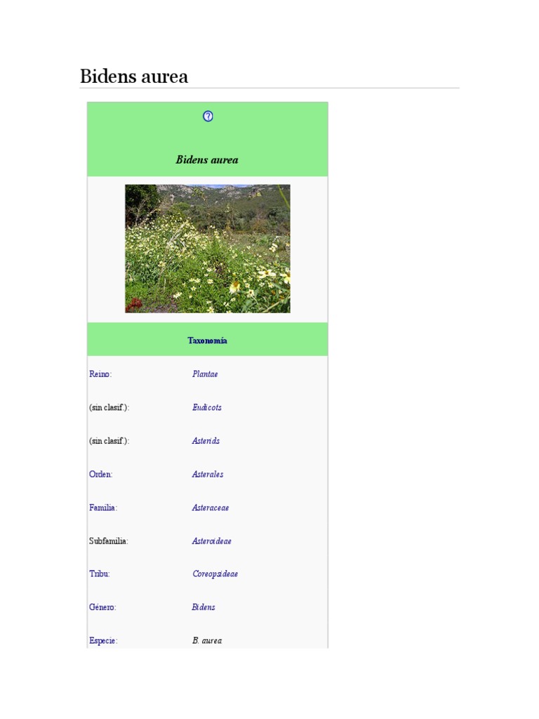 Aceitilla Bidens Aurea | PDF | Flora | Botánica
