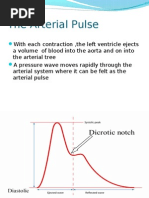 Apical Impulse and Pulse | PDF | Pulse | Aorta