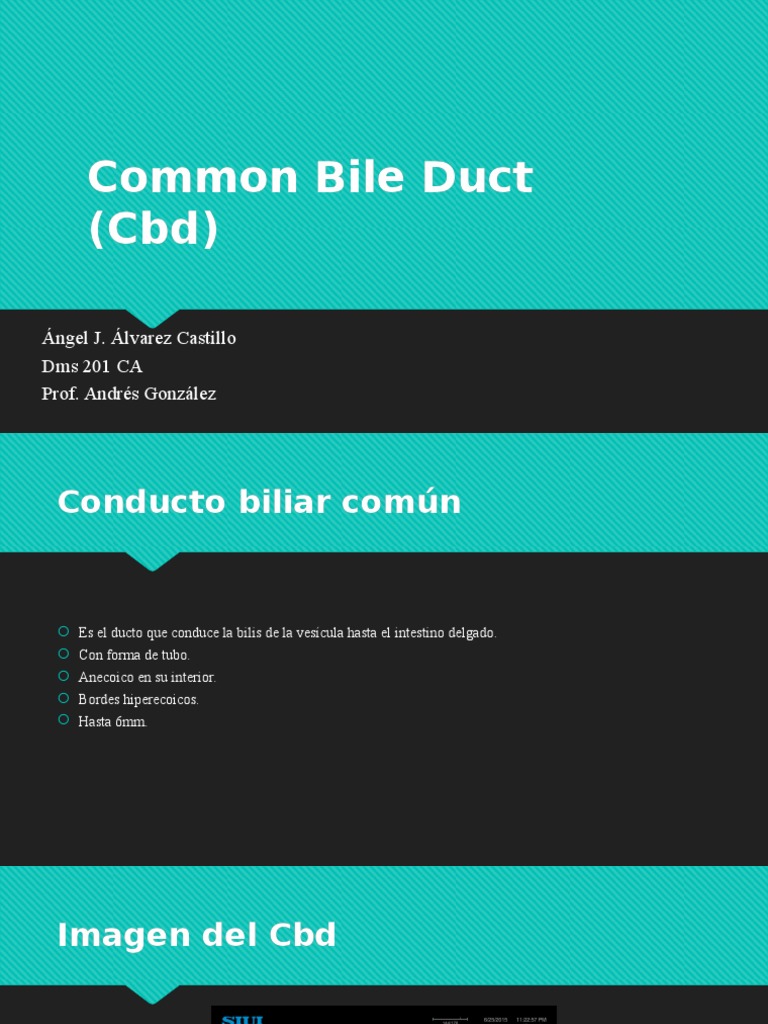 Common Bile Duct (CBD) | PDF | Salud y bienestar