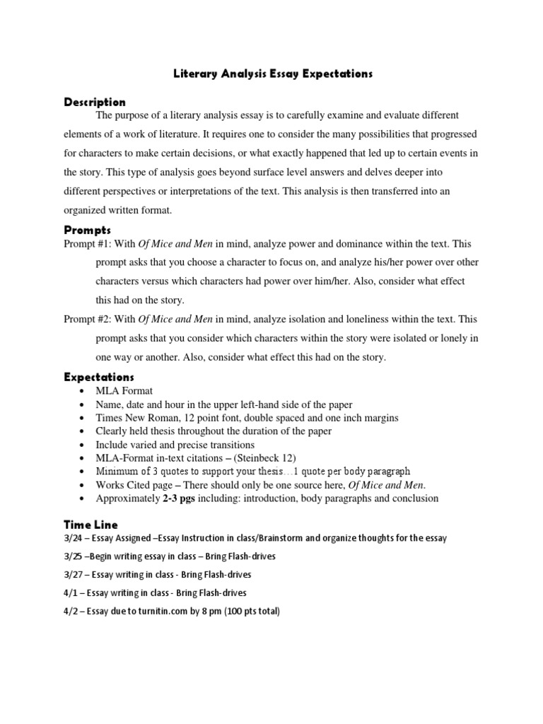Literary Analysis Essay Guidelines | PDF | General Fiction