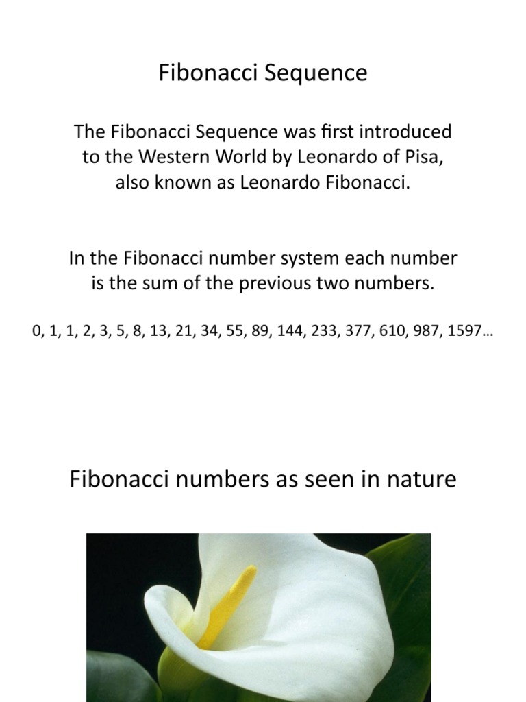 Assignment 2 Lecture Fibonacci Presentation | PDF