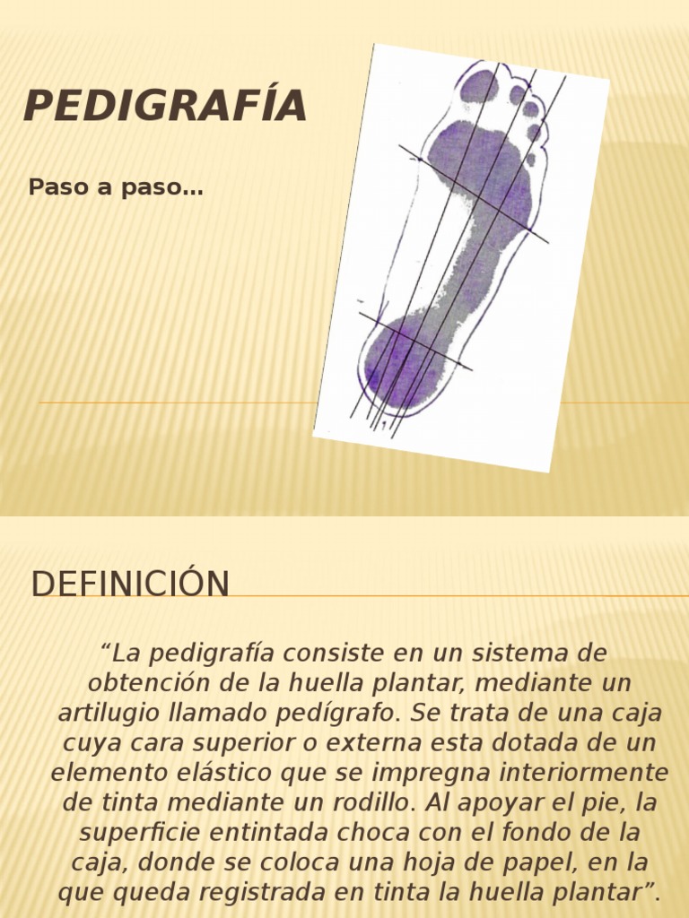 Pedigrafía | PDF | Pie | Sistema musculoesquelético