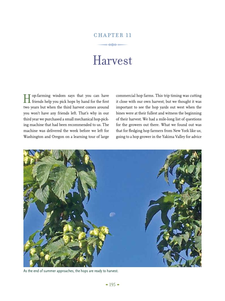 The Hop Grower's Handbook: Harvest | PDF | Hops | Pruning