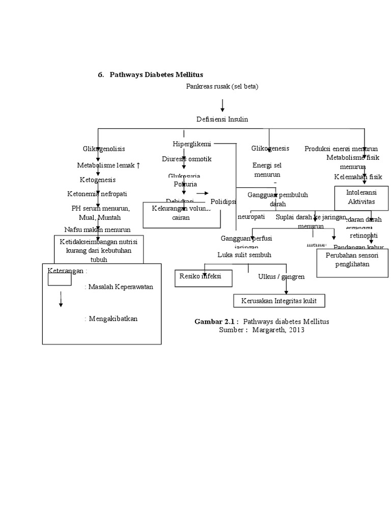 Pathways Diabetes Mellitus | PDF
