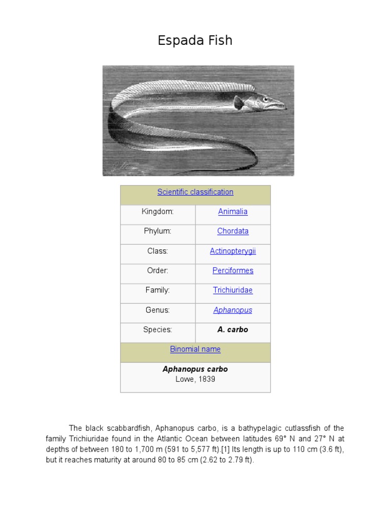 Espada Fish | PDF | Foods | Cooking