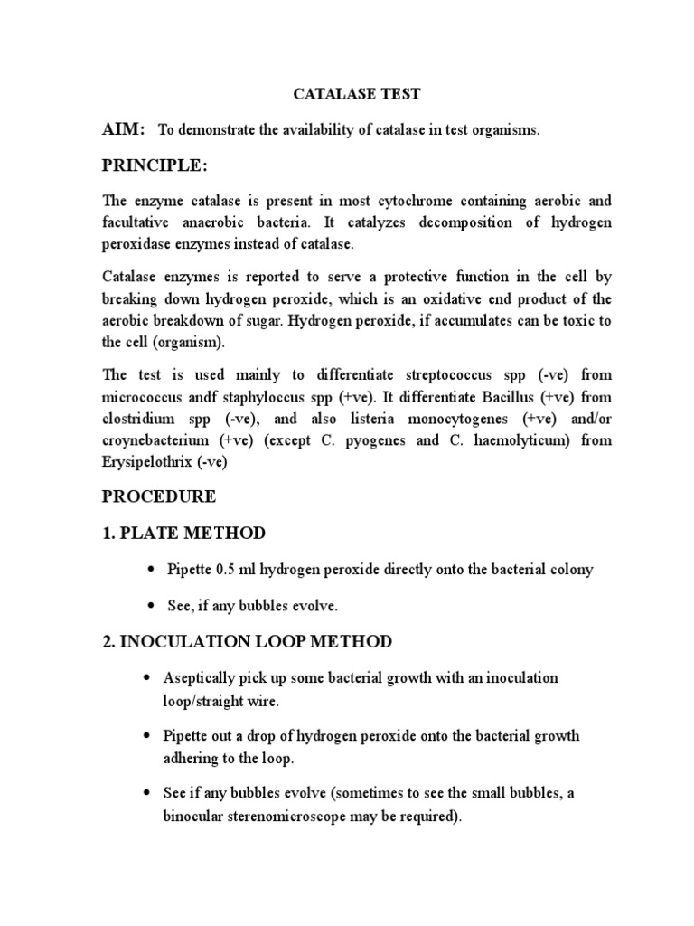 Catalase Test | PDF | Catalase | Fermentation