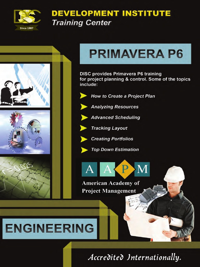 Primavera P6 | PDF