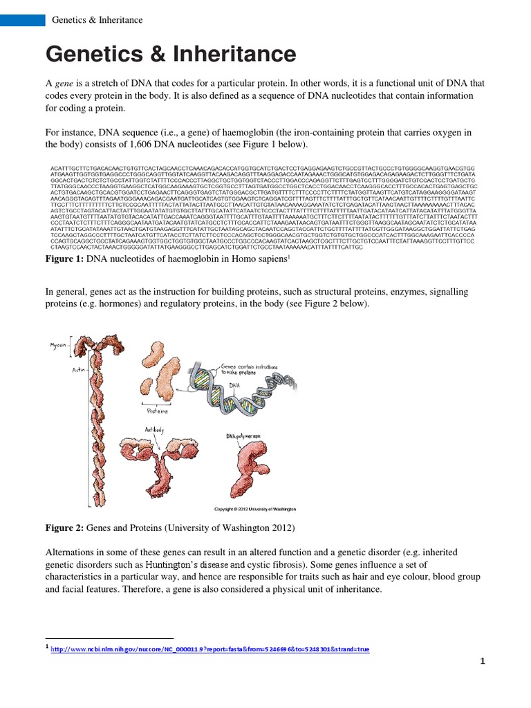 Genetic Disorders and Inheritance Patterns | PDF | Dominance (Genetics ...