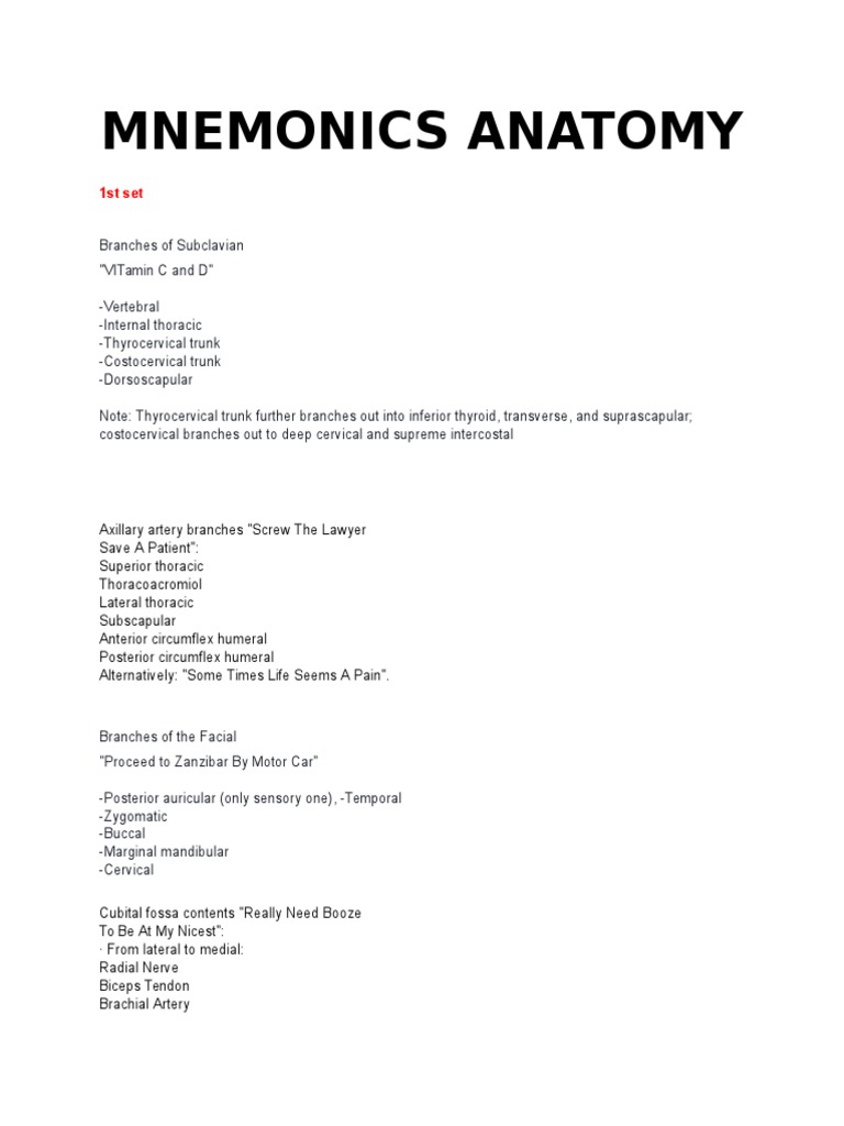 Mnemonics Anatomy | Common Carotid Artery | Anatomical Terms Of Location