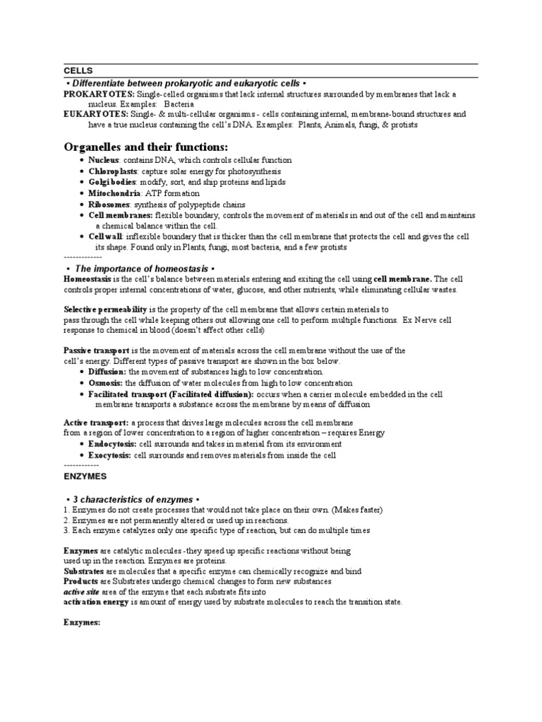 Georgia Biology EOC Study Guide: Cells | PDF | Cellular Respiration ...