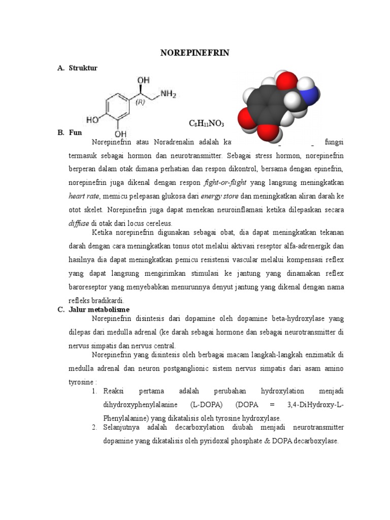 NOREPINEFRIN | PDF