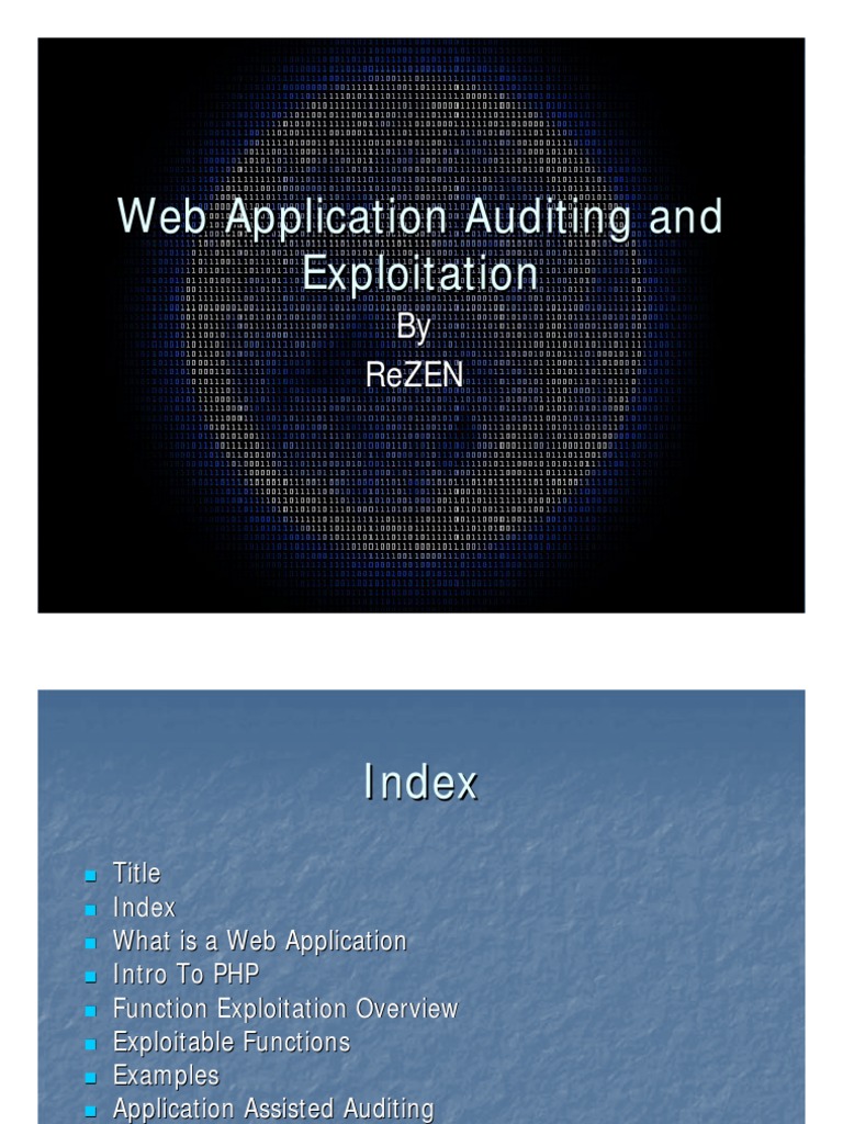 Web Application Auditing and Exploitation | PDF