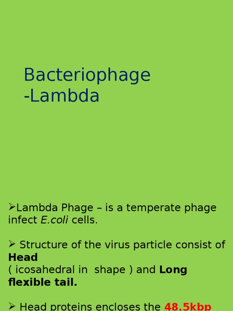 Lambda Phage Pdf Bacteriophage Dna 9471