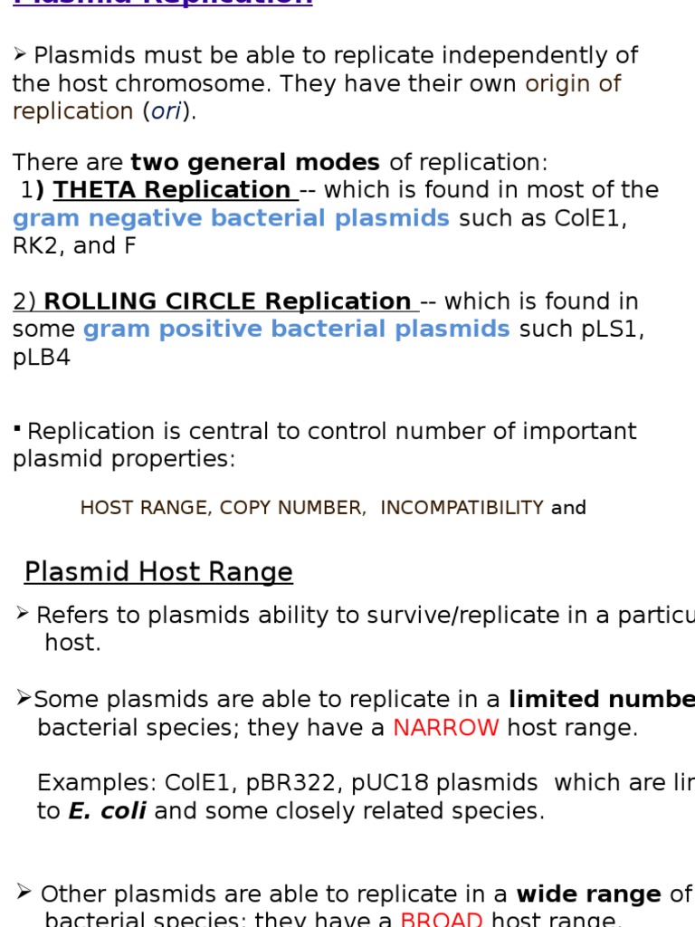 Origin of Replication: Gram Negative Bacterial Plasmids | PDF | Plasmid ...